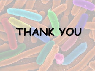 Transformation in bacteria | PPTX