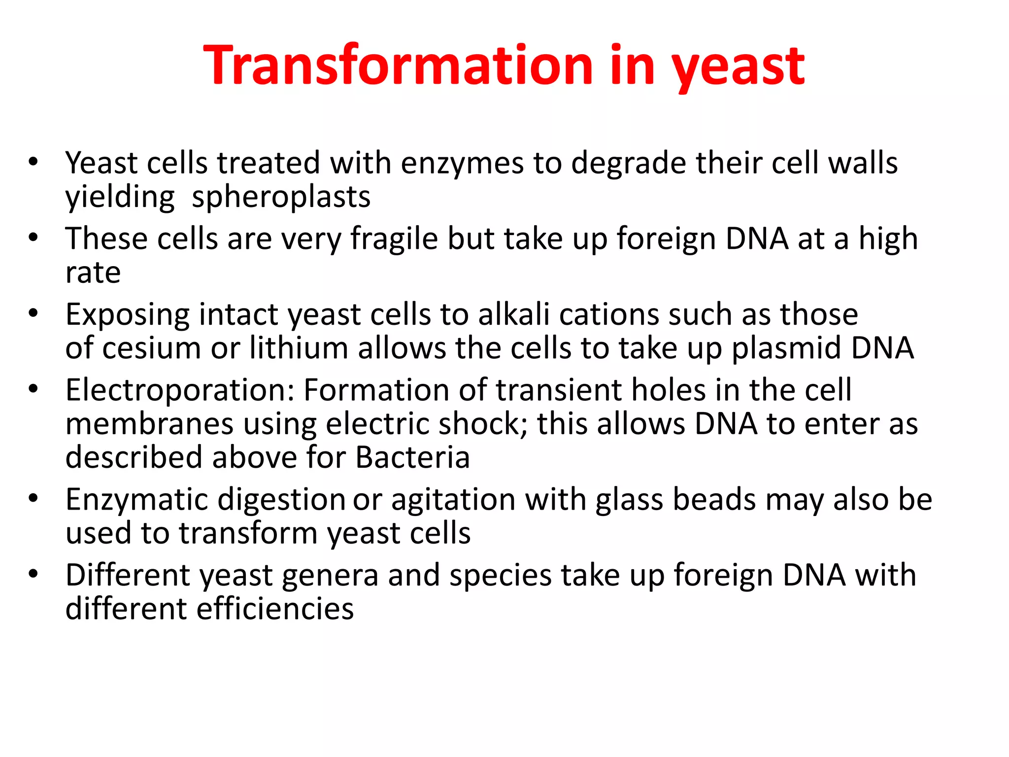 Transformation | PPTX
