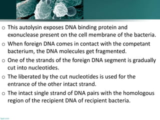 Transformation | PPTX