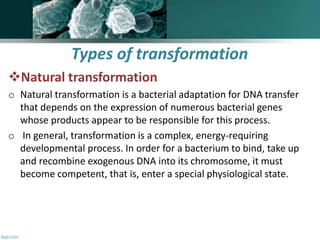 Transformation | PPTX