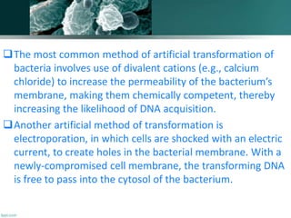 Transformation | PPTX