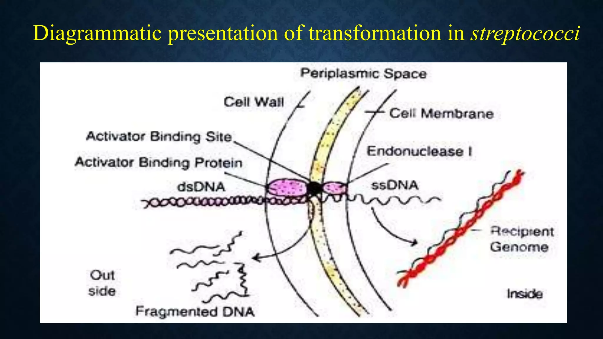 Transformation | PPTX