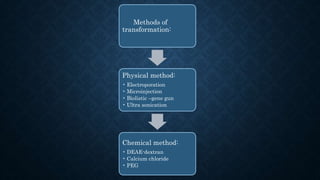 Transformation | PPTX