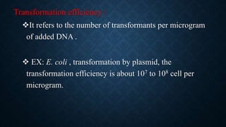 Transformation | PPTX