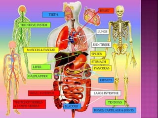 Transformation From Inside to Outside with Food and Chakras by Ms. Rita ...