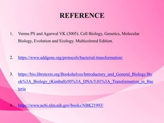 Transformation BY SIVASANGARI SHANMUGAM | PPTX