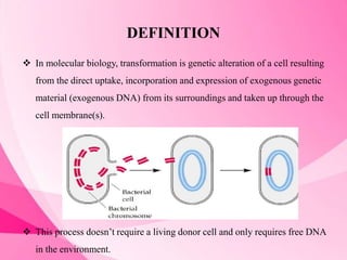Transformation BY SIVASANGARI SHANMUGAM | PPT