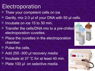 Transformation in molecular biology .ppt