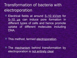 Transformation in molecular biology .ppt