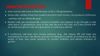 Transformation in microbiology. Griffith | PPT