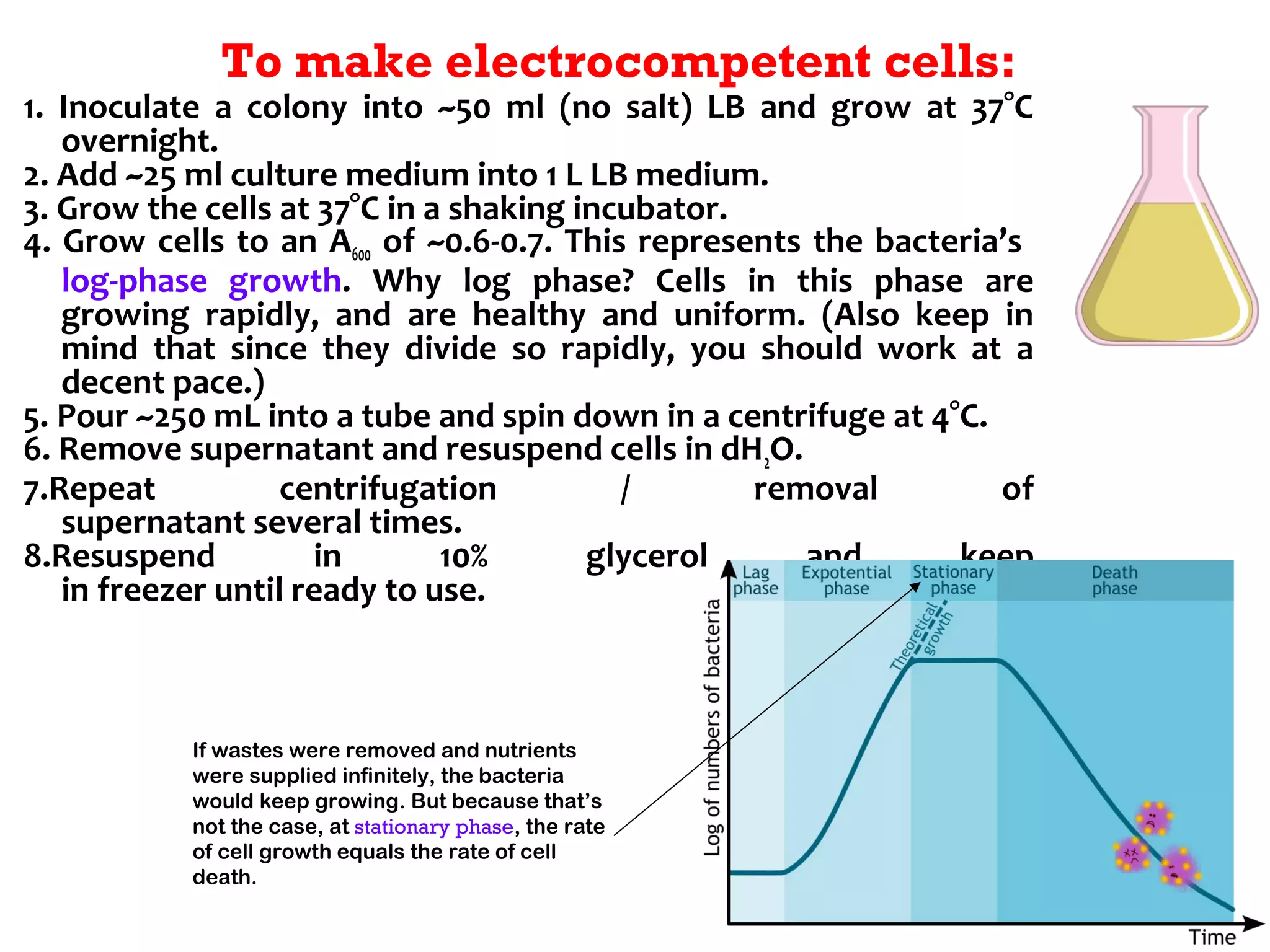 Transformation and transfection | PPT