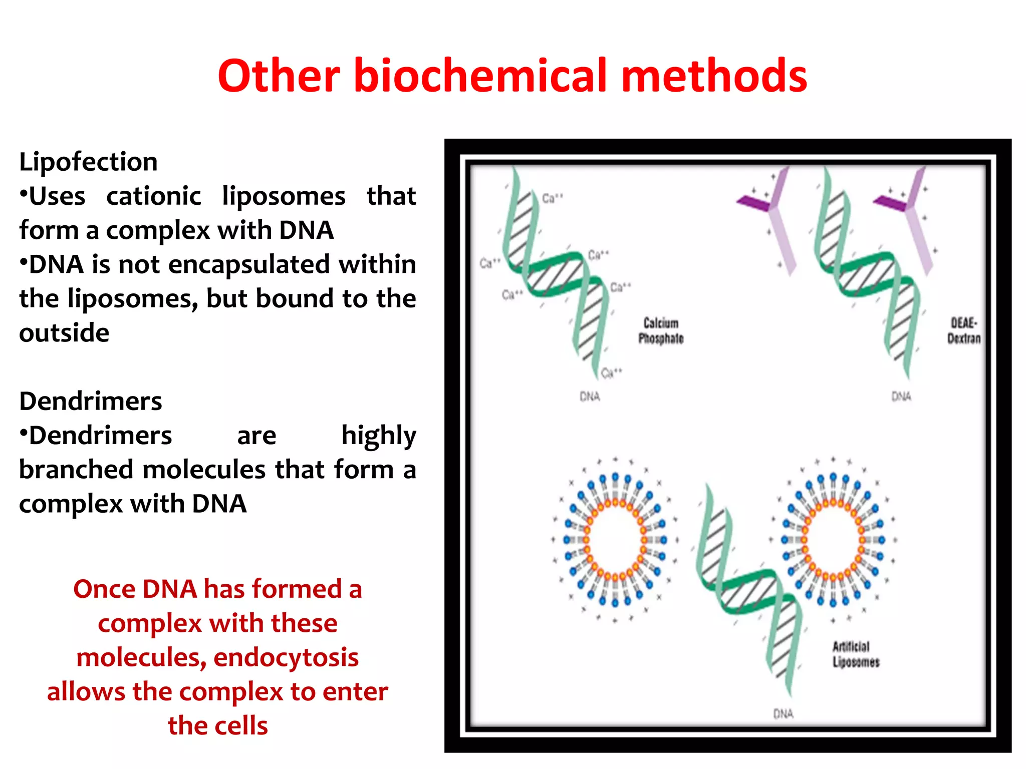 Transformation and transfection | PPT