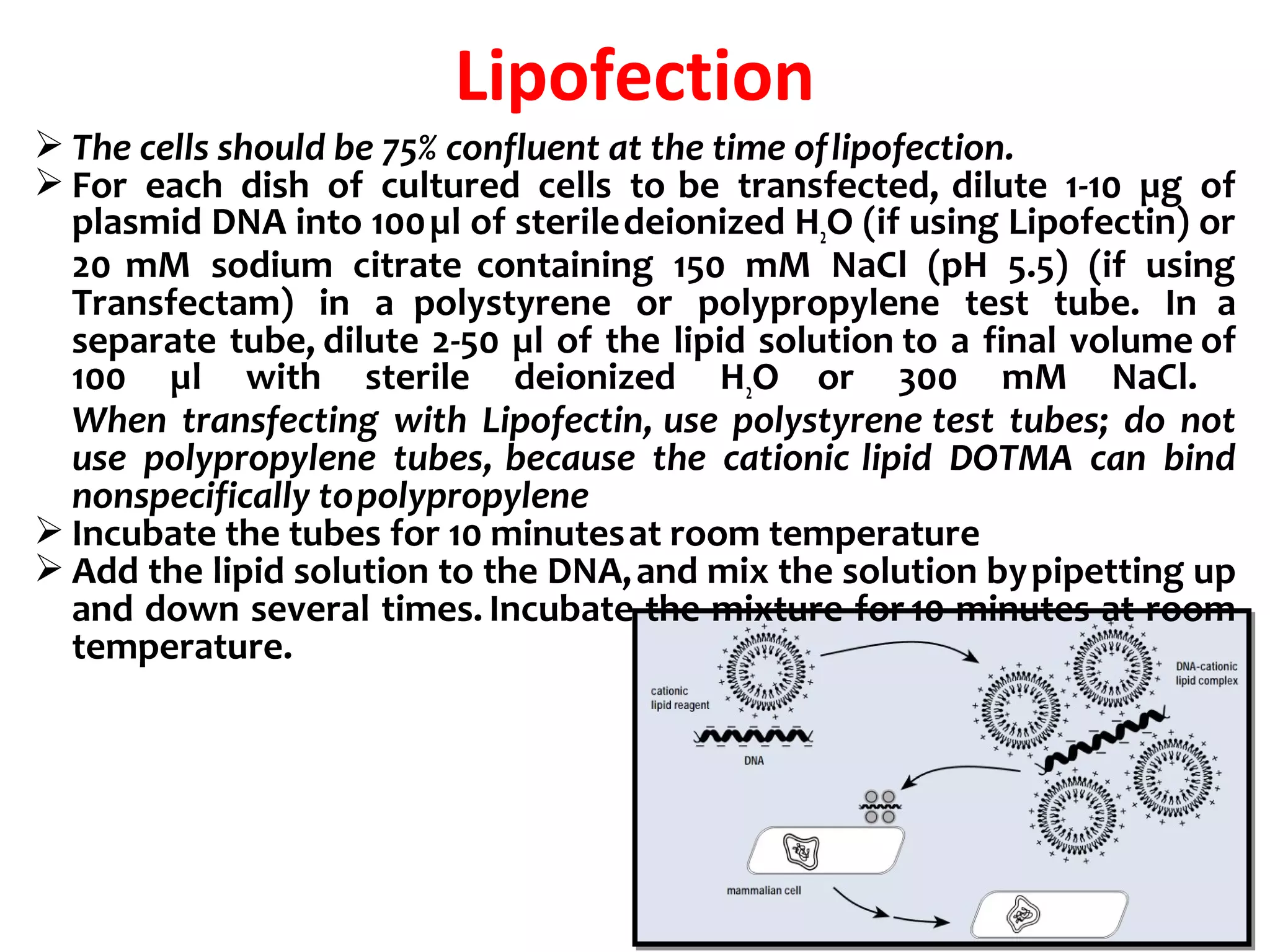 Transformation and transfection | PPT | Biological Sciences | Science