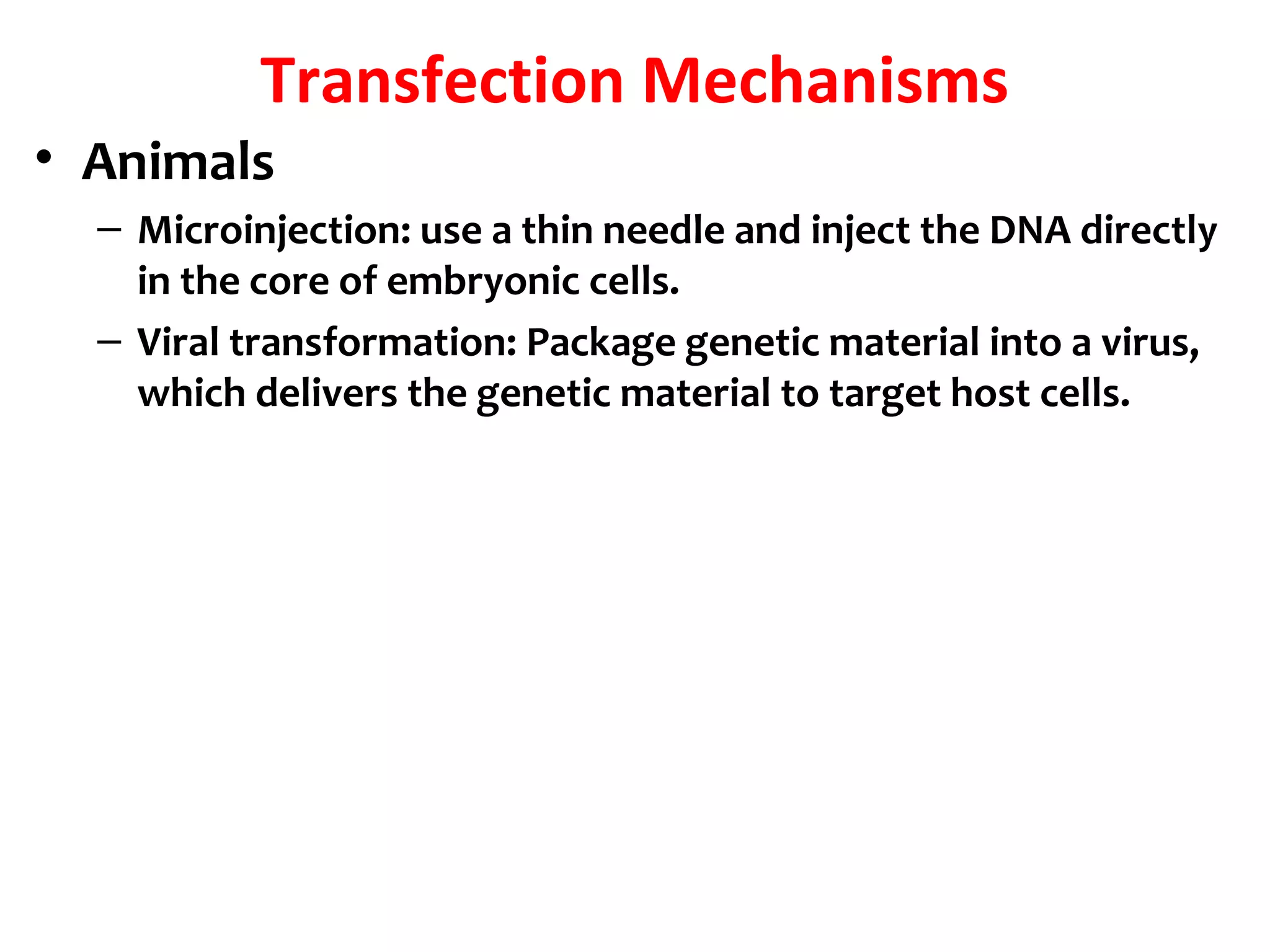 Transformation and transfection | PPT