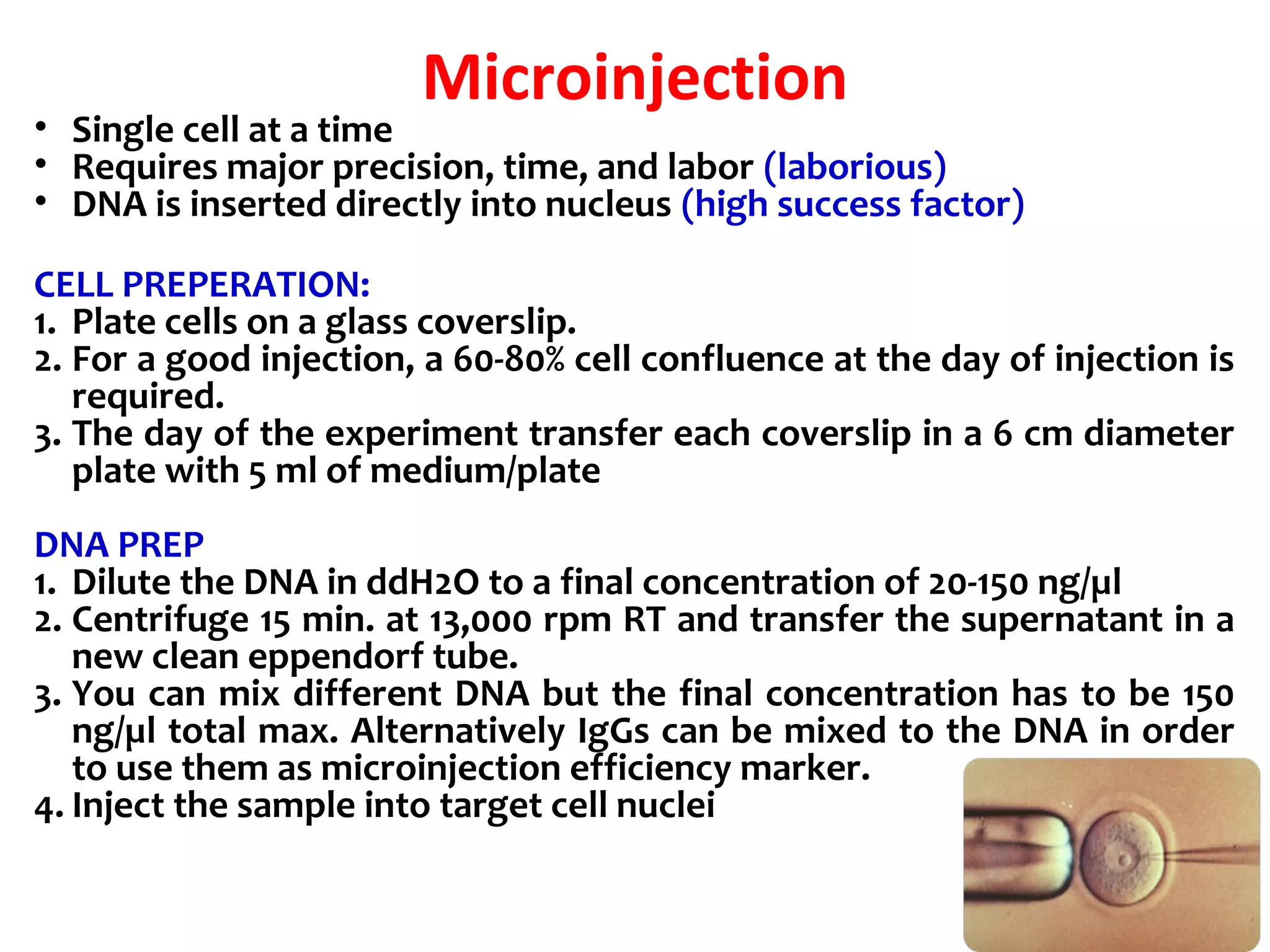 Transformation and transfection | PPT