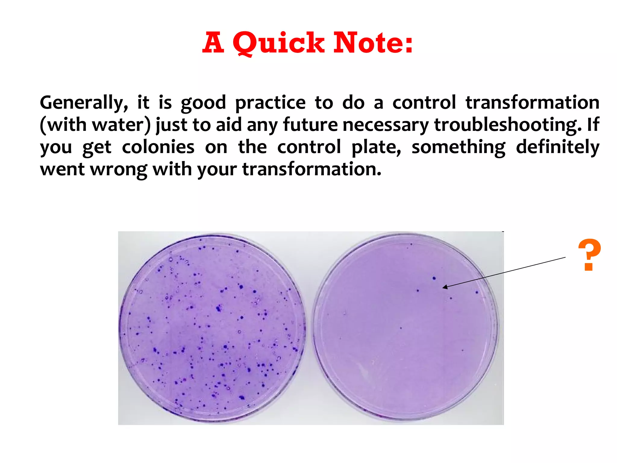 Transformation and transfection | PPT