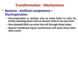 Transformation and transfection | PPT