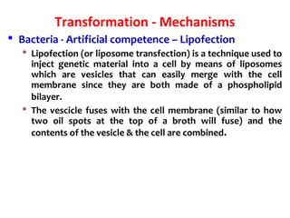 Transformation and transfection | PPT