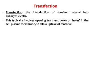 Transformation and transfection | PPT