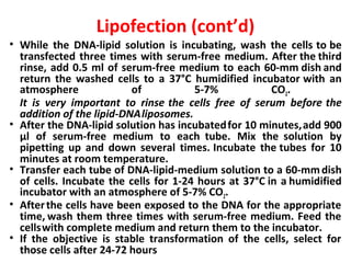 Transformation and transfection | PPT