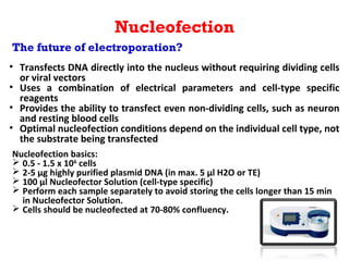 Transformation and transfection | PPT