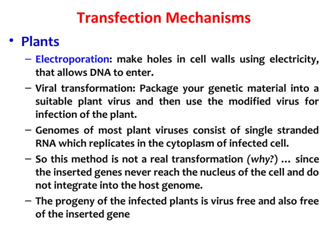 Transformation and transfection | PPT | Biological Sciences | Science