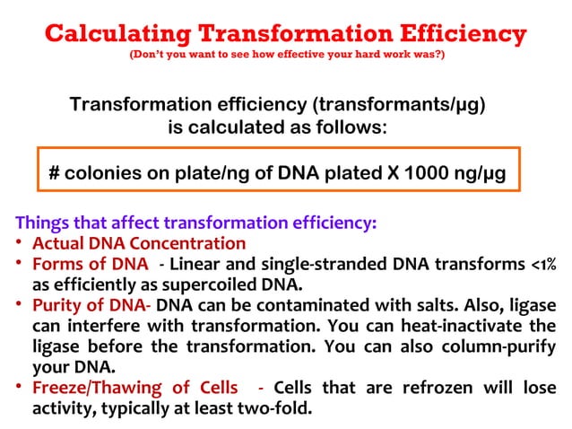 Transformation and transfection | PPT | Biological Sciences | Science