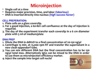 Transformation and transfection | PPT