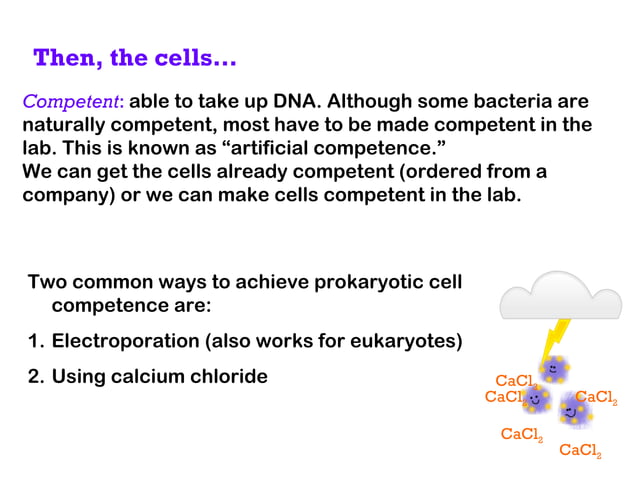 Transformation and transfection | PPT | Biological Sciences | Science