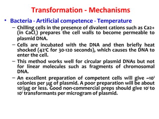 Transformation and transfection | PPT