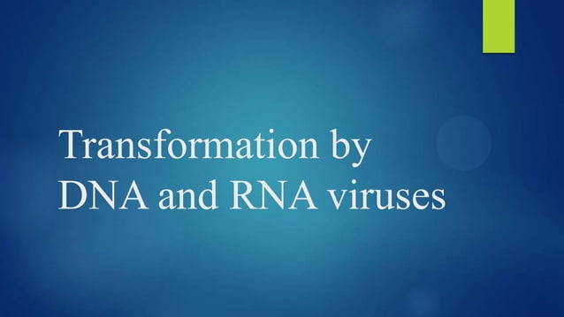 Transformation by DNA and RNA viruses | PPTX