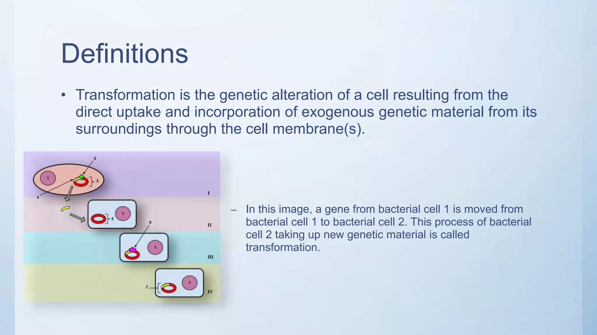 Transformation efficiency | PPT