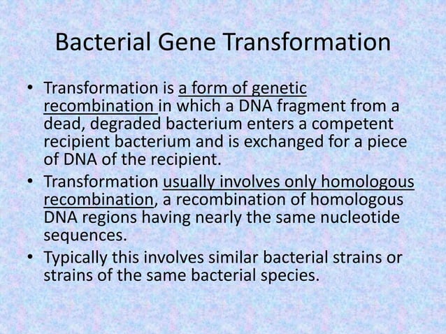 Transformation in bacteria | PDF | Genetics | Science