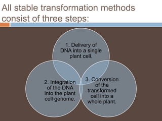 Transformation in plants | PPTX