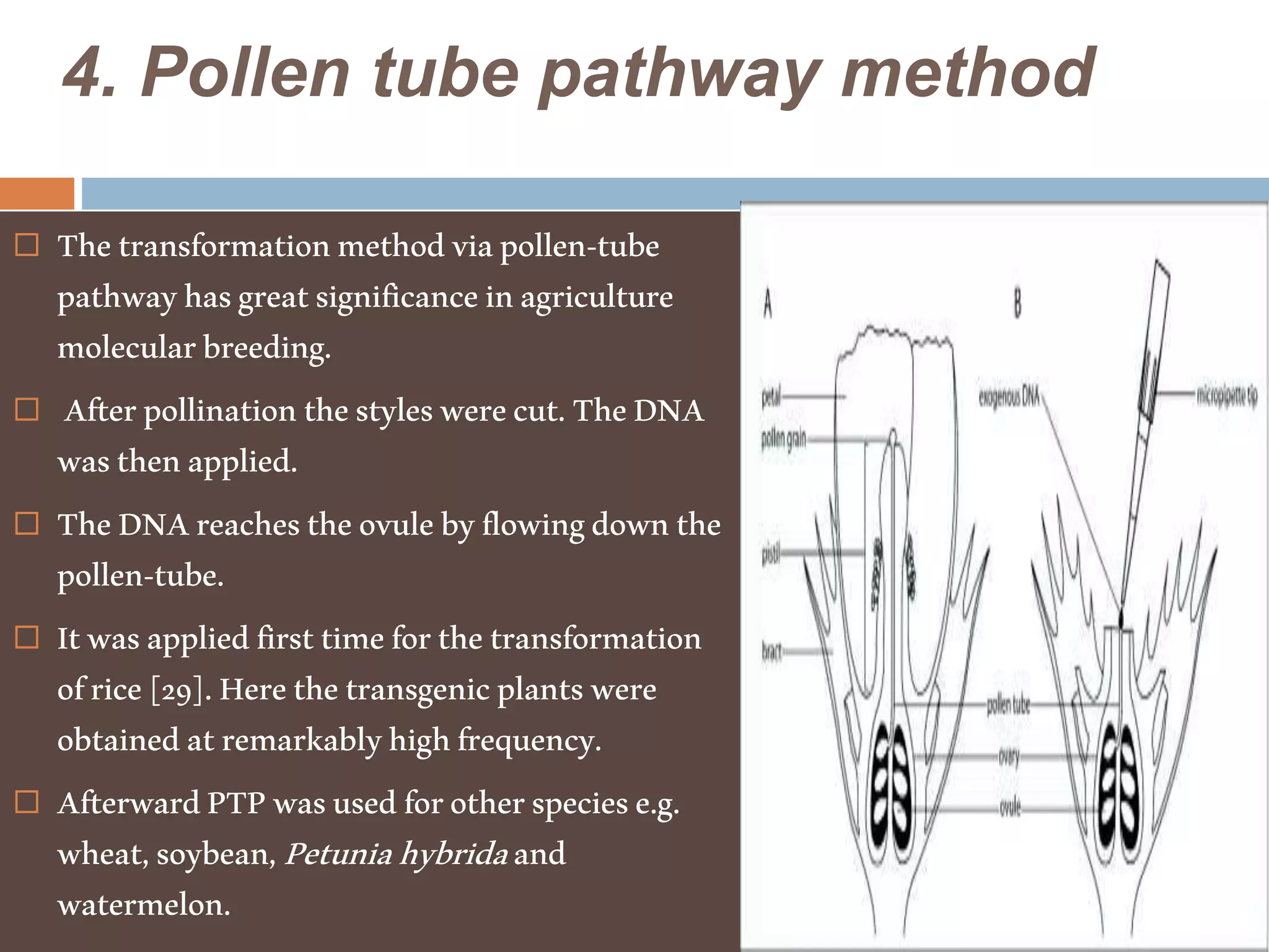 transformationinplants-ppt.pdf
