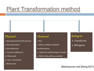 transformationinplants-ppt.pdf