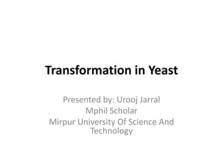Transformation in yeast. | PPTX