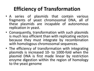 Transformation in yeast. | PPTX