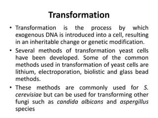 Transformation in yeast. | PPTX