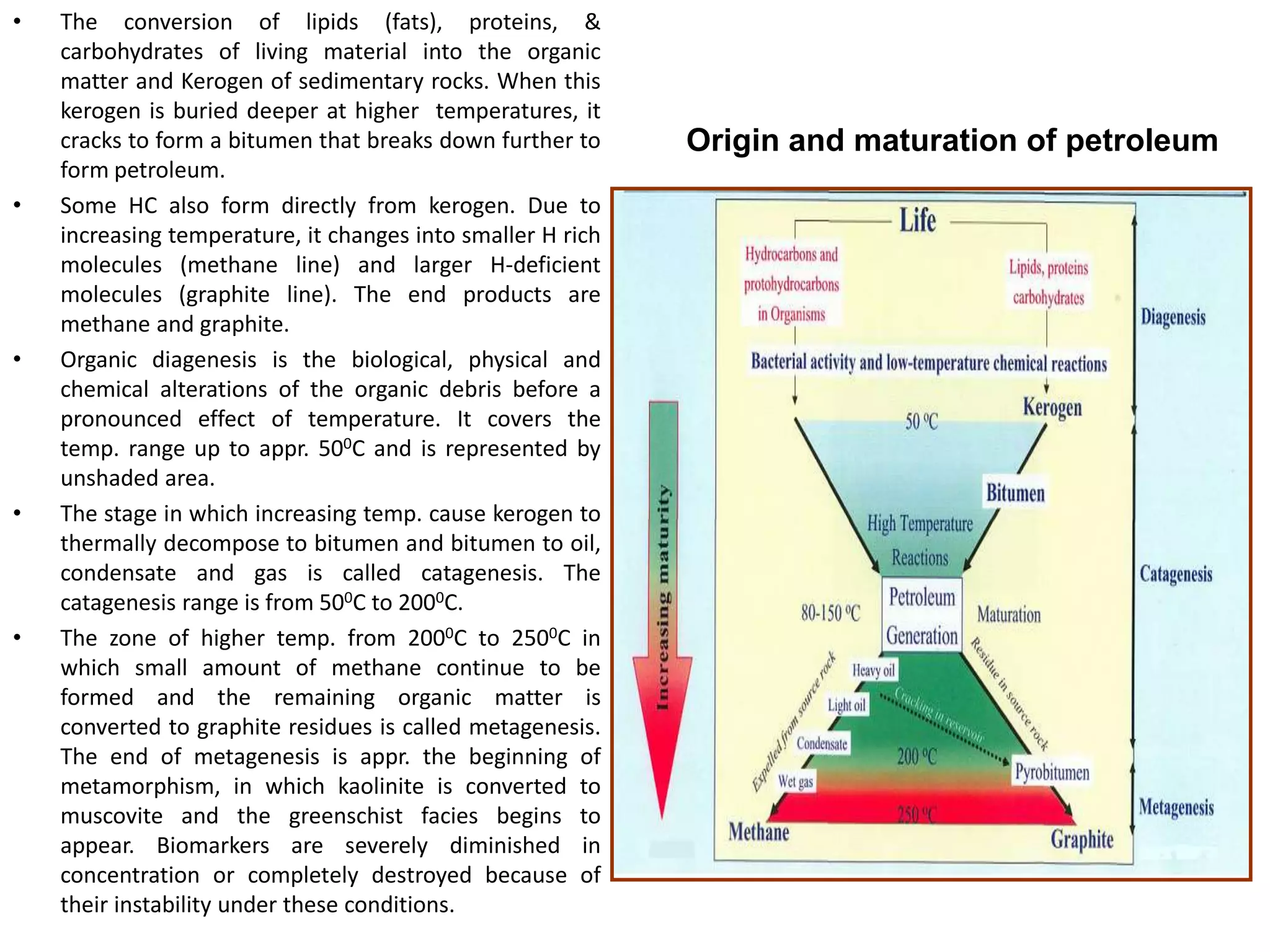 transformation of organic matter into kerogen.pptx | Chemistry | Science