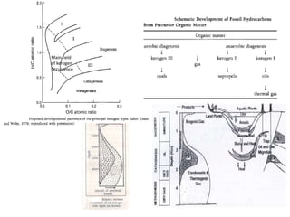 transformation of organic matter into kerogen.pptx