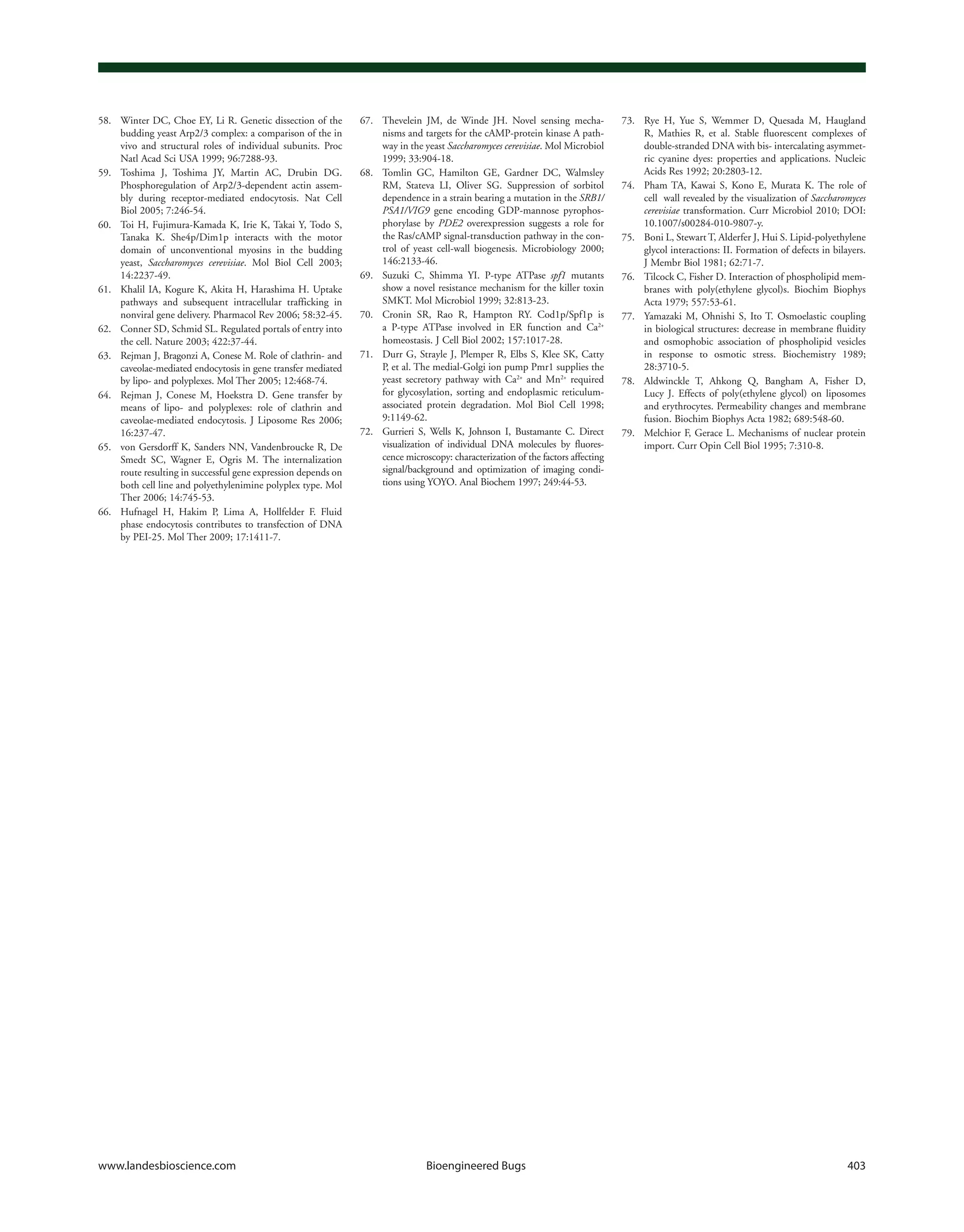 Transformation of saccharomyces cerevisiae and other fungi | PDF