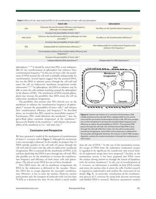 Transformation of saccharomyces cerevisiae and other fungi | PDF