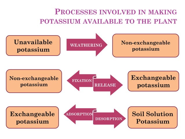 Transformations and dynamics of potassium | PPTX | Agriculture | Industries