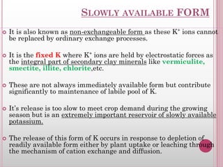 Transformations and dynamics of potassium | PPTX