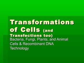 Transformations of cells | PPT