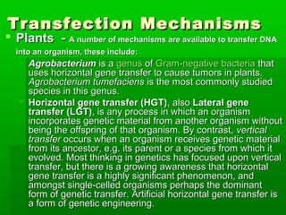Transformations of cells | PPT