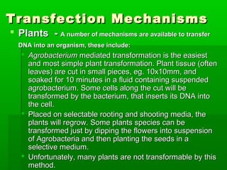 Transformations of cells | PPT