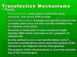 Transformations of cells | PPT