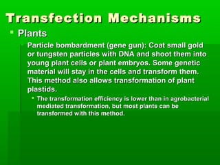 Transformations of cells | PPT